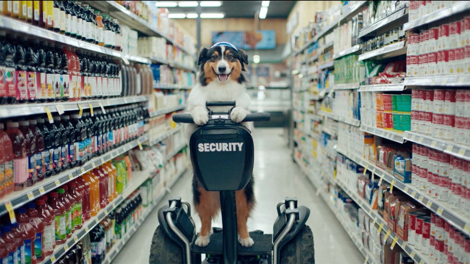 Montana Dept. of Transportation - Aggressive - Union Editorial