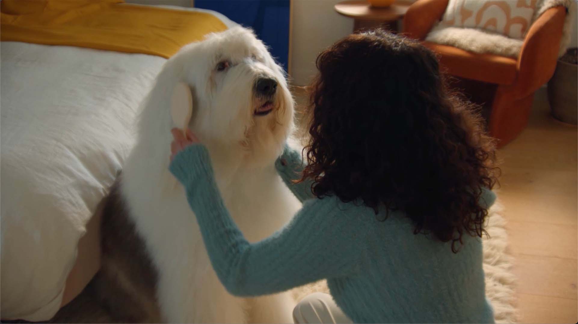 Pedigree - Rebound Dogs - Union Editorial