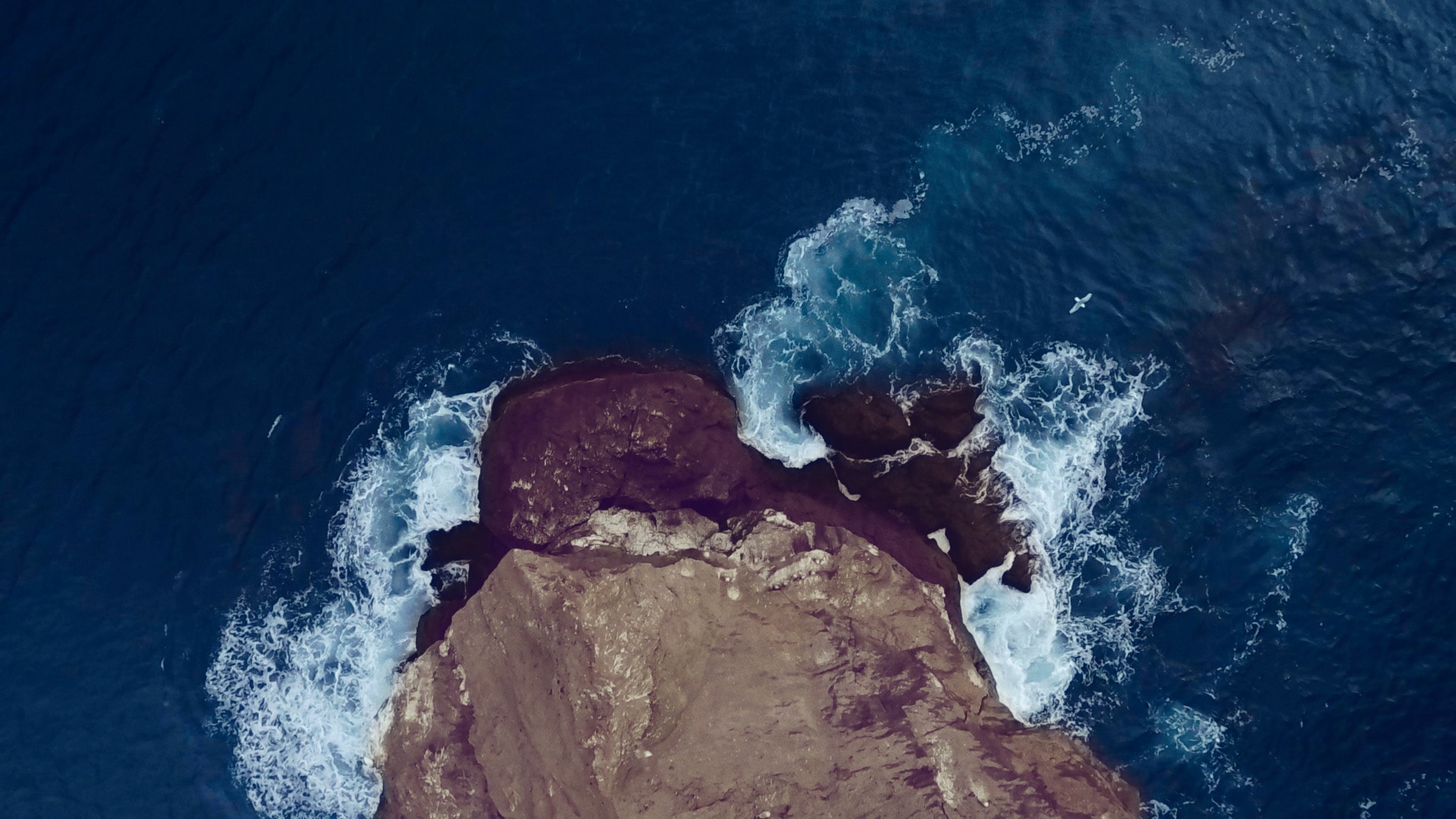 Range Rover - Deja Vu - Union Editorial